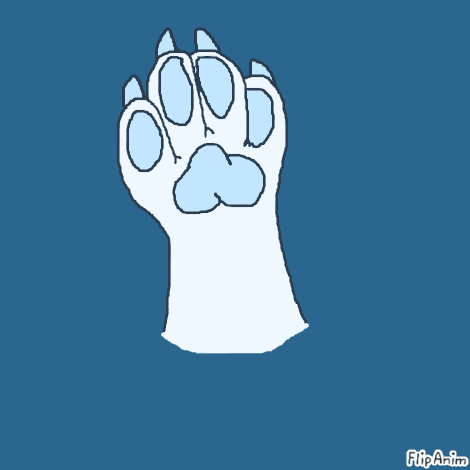 paw practice