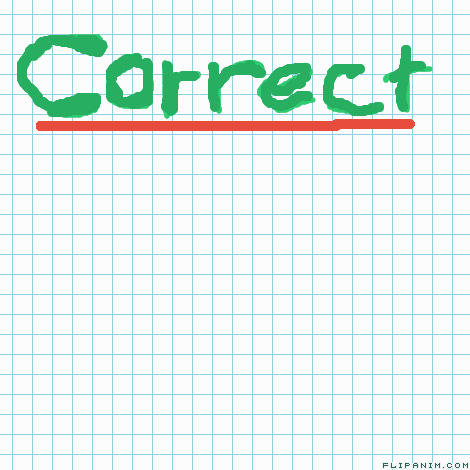 correct - example - FlipAnim