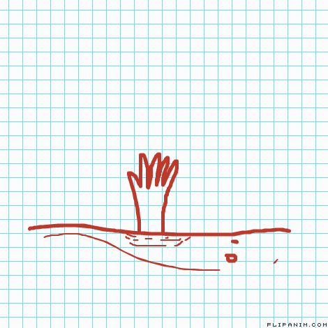 goin to the pool tommorow - FlipAnim