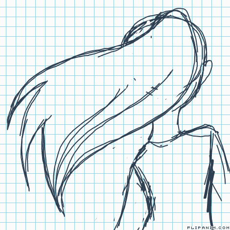 first animation - FlipAnim