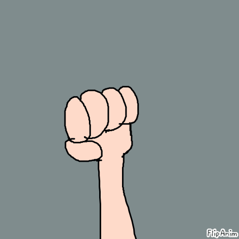 Flash Warnings - FlipAnim