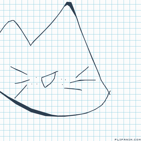 Messed up cat - FlipAnim