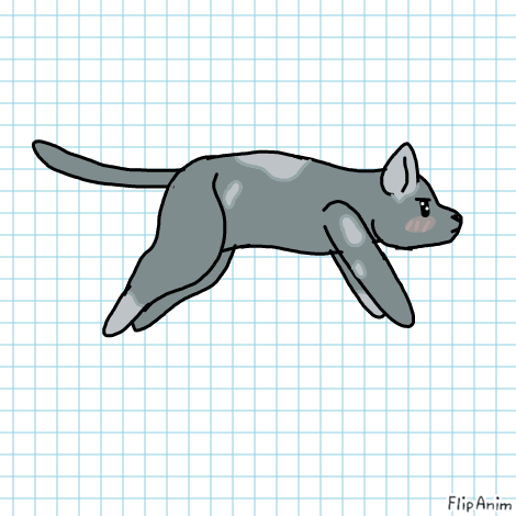 Gotta go fast XD 🤣🤣🤣 - FlipAnim