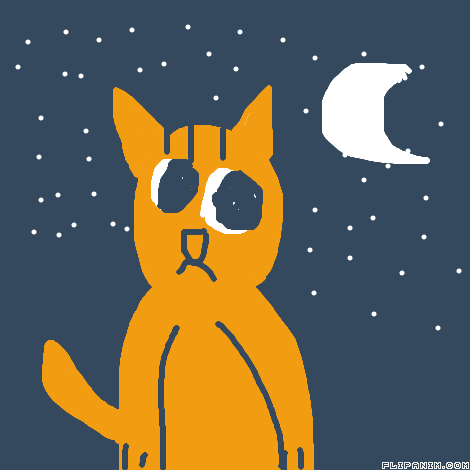 Tabby in the night - FlipAnim