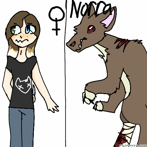 norra ref - FlipAnim