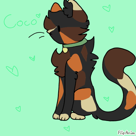 My Catto uwu - FlipAnim